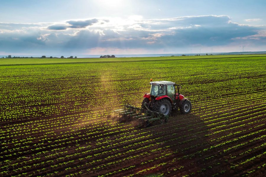 Comentário Semanal Agro | Projeções para 2026 - XP Investimentos