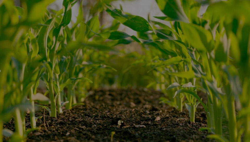 Radar ESG | Grupo Vittia (VITT3): Melhorando a sustentabilidade na ...