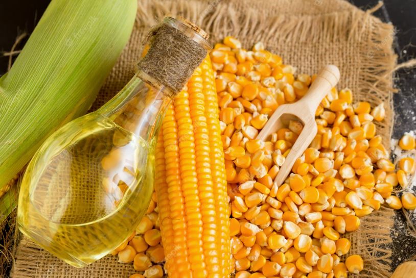 Análise (Crédito): FS Bio - XP Investimentos