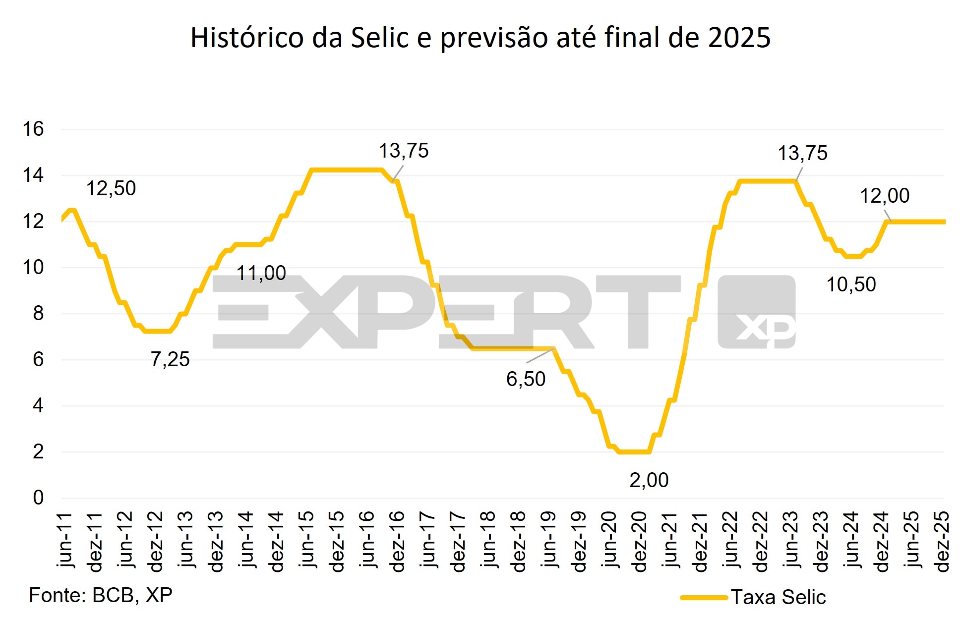Selic: veja o histórico e a projeção para 2025 - XP Investimentos