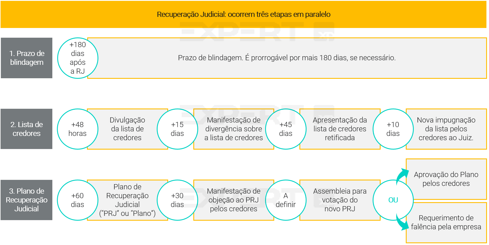 Tutela Cautelar, Recuperação Judicial e Extrajudicial: entenda o que ...